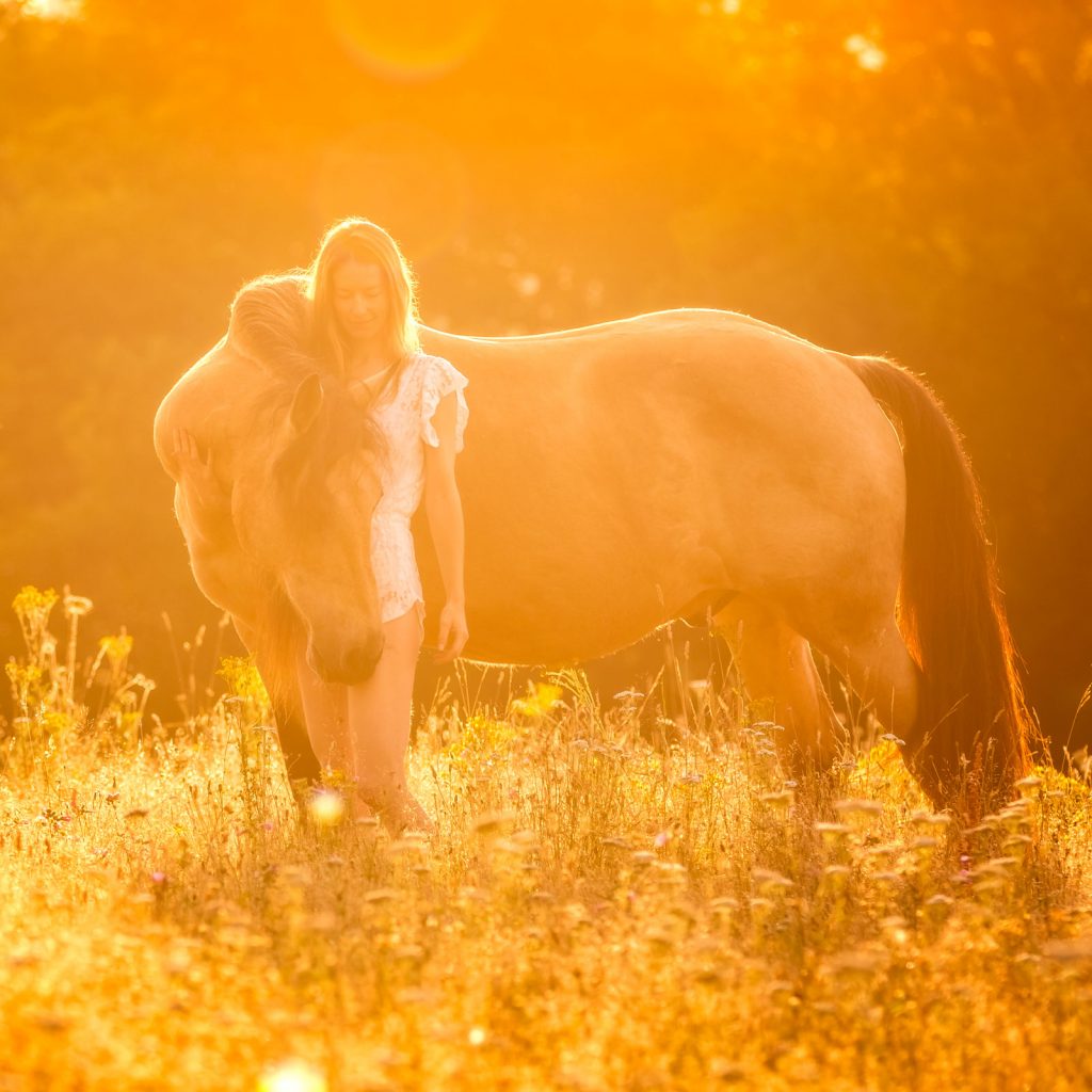 Pas de pied pas de cheval ! - Les rôles des pieds du cheval ...