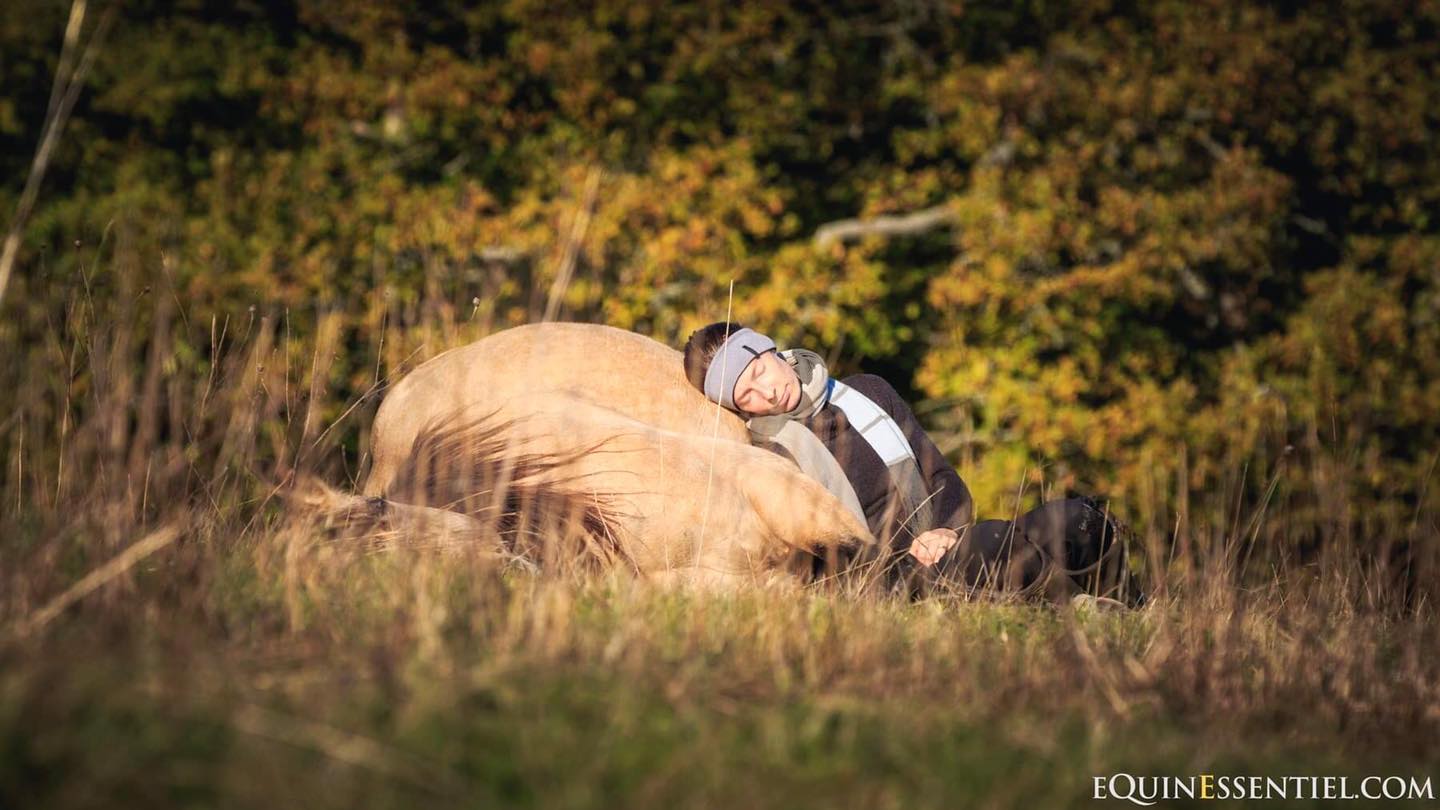 4 indices pour savoir si votre cheval est heureux en groupe ...